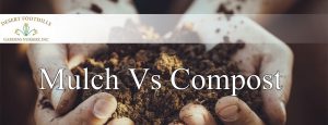 Mulch vs Compost - Desert Foothills Gardens Nursery