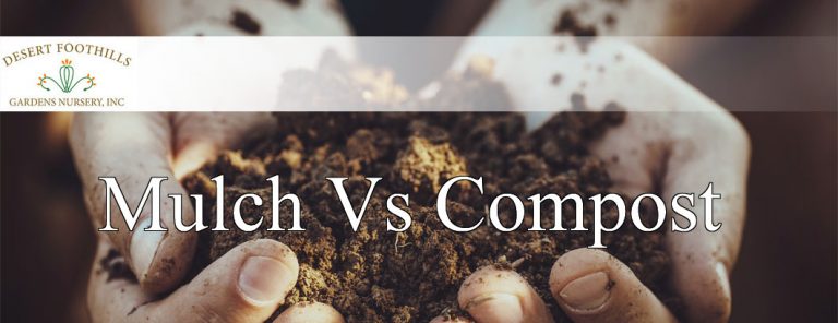 Mulch vs Compost - Desert Foothills Gardens Nursery